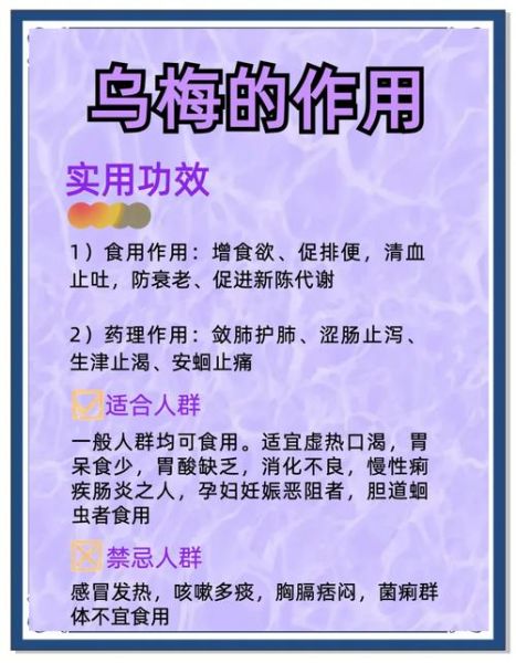 乌梅的功效与作用_乌梅怎么吃最好-第2张图片-山城妙识