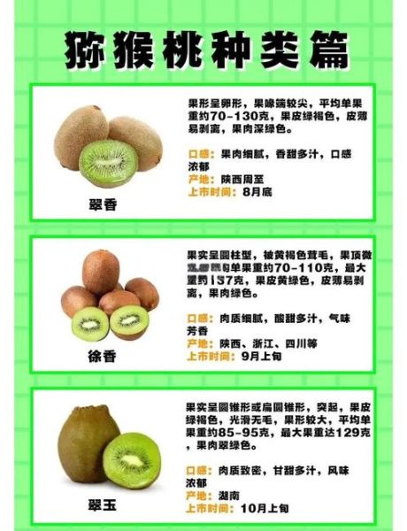 猕猴桃的功效与作用吃法_怎么吃最营养-第3张图片-山城妙识