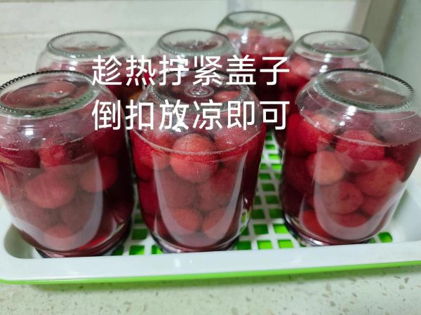 杨梅罐头怎么做_杨梅罐头家庭保存多久-第2张图片-山城妙识