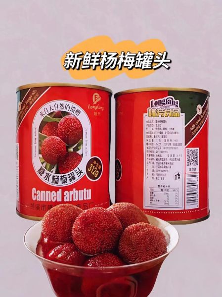 杨梅罐头怎么做_杨梅罐头家庭保存多久-第3张图片-山城妙识