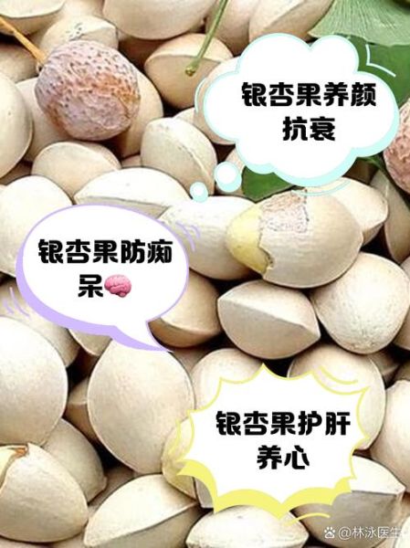 银杏仁的功效与作用禁忌_银杏仁怎么吃才安全-第1张图片-山城妙识