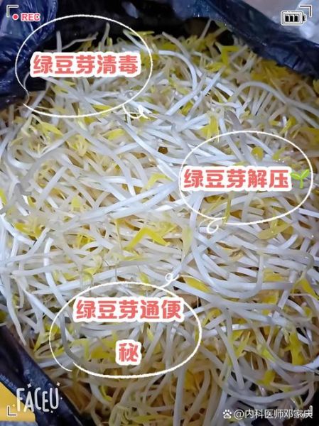 绿豆芽菜怎么保存_绿豆芽菜的营养价值-第1张图片-山城妙识