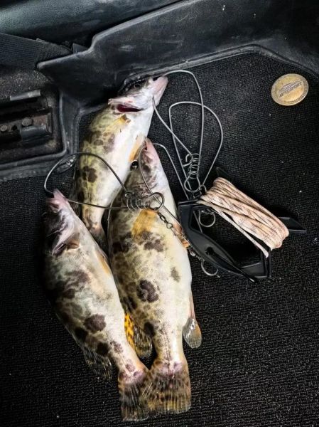 路亚鳜鱼用什么饵最好_鳜鱼路亚饵选择技巧-第1张图片-山城妙识 路亚鳜鱼用什么饵最好_鳜鱼路亚饵选择技巧-第1张图片-山城妙识