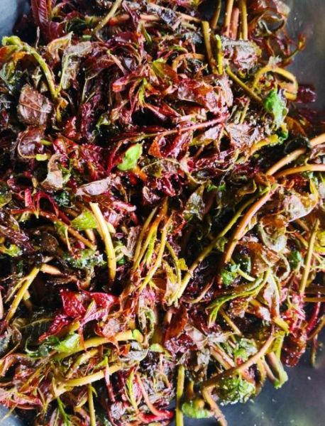 腌制香椿芽怎么做才好吃_香椿芽腌制多久能吃-第1张图片-山城妙识 腌制香椿芽怎么做才好吃_香椿芽腌制多久能吃-第1张图片-山城妙识