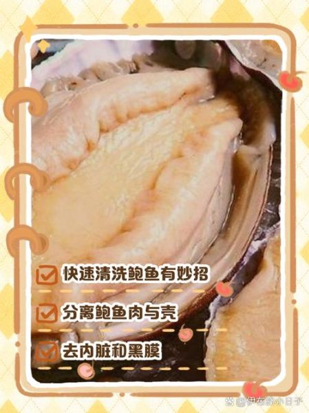 鲍鱼怎么吃_鲍鱼怎么清洗-第2张图片-山城妙识 鲍鱼怎么吃_鲍鱼怎么清洗-第2张图片-山城妙识