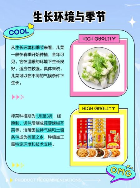 儿菜是榨菜吗_儿菜和榨菜的区别-第1张图片-山城妙识