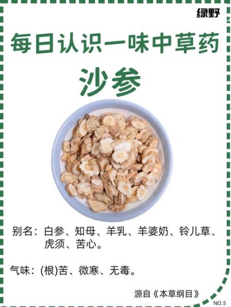 沙参的功效与作用_沙参主治什么病-第2张图片-山城妙识