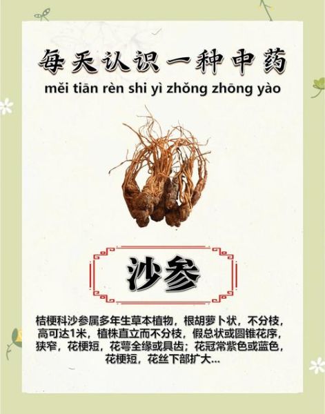 沙参的功效与作用_沙参主治什么病-第1张图片-山城妙识