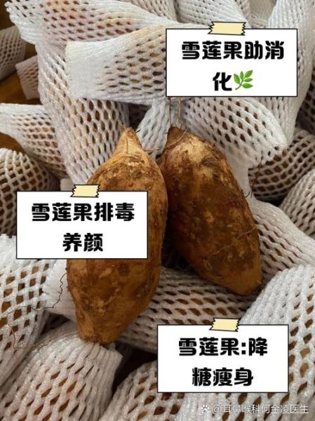 雪莲果怎么吃减肥快_雪莲果减肥的正确吃法-第2张图片-山城妙识