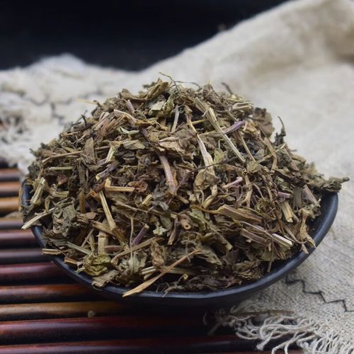 连钱草图片长什么样_如何辨别真假连钱草-第2张图片-山城妙识