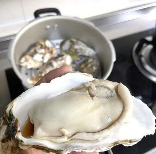 生蚝蒸多久才熟_带壳生蚝蒸几分钟最佳-第2张图片-山城妙识 生蚝蒸多久才熟_带壳生蚝蒸几分钟最佳-第2张图片-山城妙识