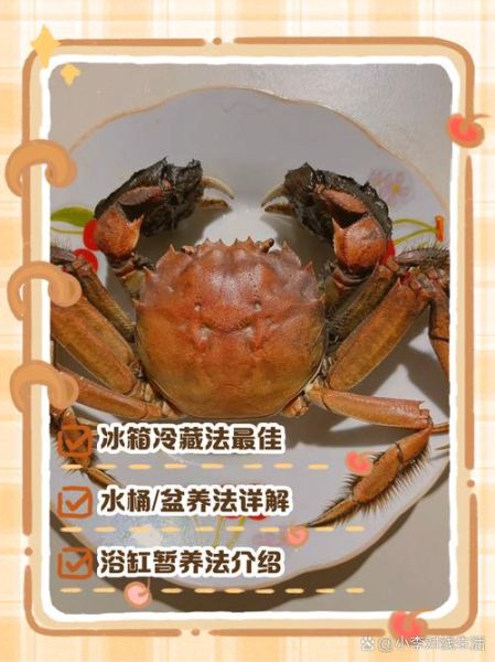 蟹子怎么保存最好_活蟹冷冻还是冷藏-第3张图片-山城妙识 蟹子怎么保存最好_活蟹冷冻还是冷藏-第3张图片-山城妙识