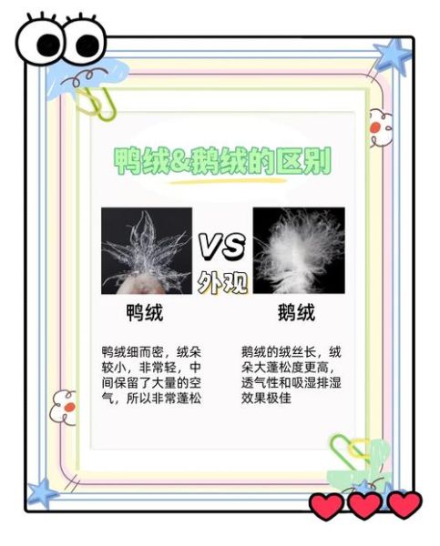 白鸭绒和白鹅绒哪个更保暖_白鸭绒和白鹅绒的区别-第1张图片-山城妙识 白鸭绒和白鹅绒哪个更保暖_白鸭绒和白鹅绒的区别-第1张图片-山城妙识