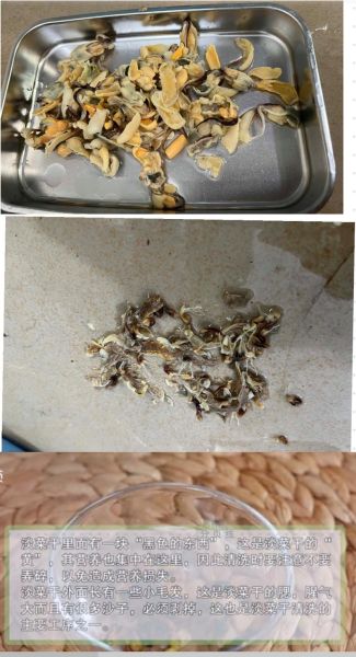 淡菜怎么洗干净_淡菜清洗的正确方法-第1张图片-山城妙识 淡菜怎么洗干净_淡菜清洗的正确方法-第1张图片-山城妙识