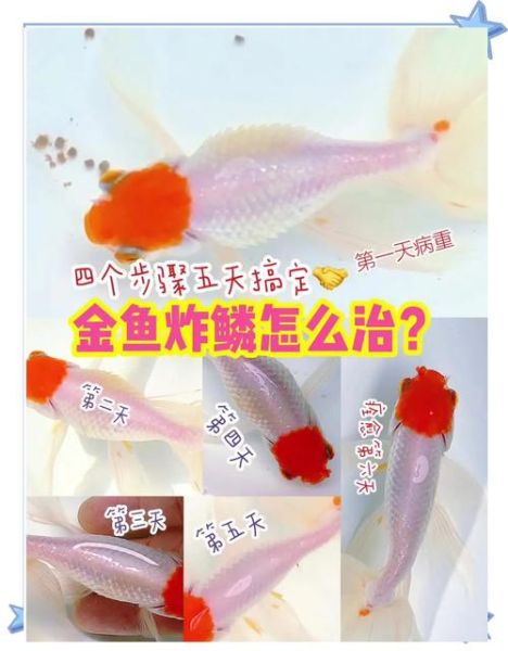 鱼炸鳞是什么原因_鱼炸鳞会传染吗-第2张图片-山城妙识