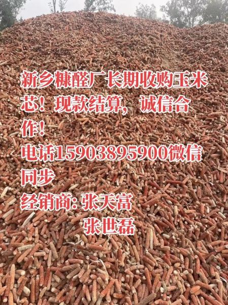 玉米芯收购价格950元一吨_玉米芯多少钱一吨-第1张图片-山城妙识 玉米芯收购价格950元一吨_玉米芯多少钱一吨-第1张图片-山城妙识