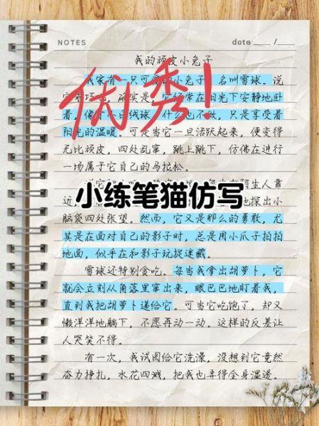 杨猫博客怎么写_杨猫博客写作技巧-第3张图片-山城妙识 杨猫博客怎么写_杨猫博客写作技巧-第3张图片-山城妙识