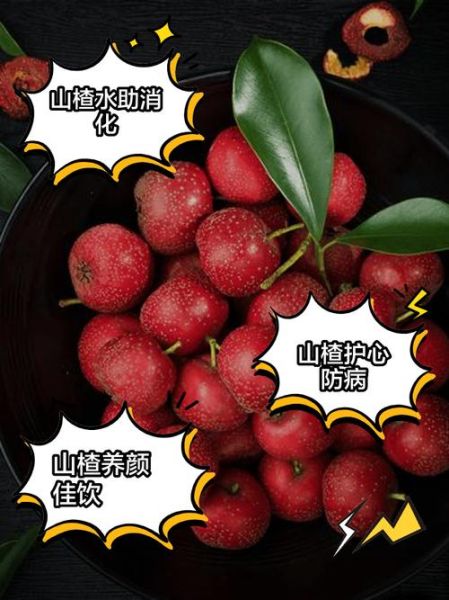 吃山楂的好处和坏处_山楂吃多了会怎样-第1张图片-山城妙识 吃山楂的好处和坏处_山楂吃多了会怎样-第1张图片-山城妙识