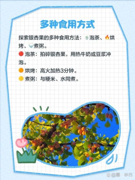 银杏果能吃吗_银杏果怎么吃才安全-第1张图片-山城妙识 银杏果能吃吗_银杏果怎么吃才安全-第1张图片-山城妙识