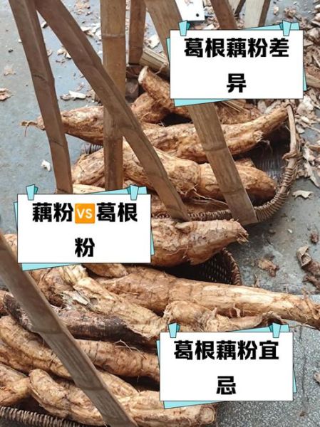 葛根粉和藕粉哪个更好_葛根粉与藕粉的区别-第1张图片-山城妙识 葛根粉和藕粉哪个更好_葛根粉与藕粉的区别-第1张图片-山城妙识