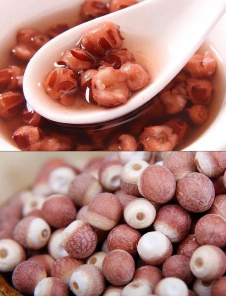 鸡头米什么人不能吃_鸡头米禁忌人群有哪些-第3张图片-山城妙识