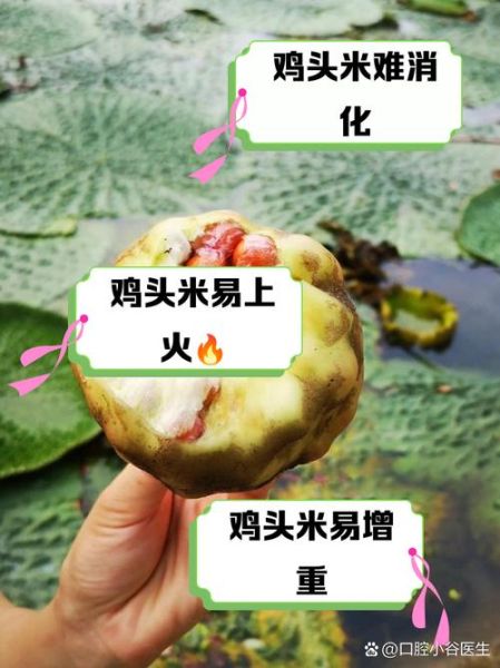 鸡头米什么人不能吃_鸡头米禁忌人群有哪些-第2张图片-山城妙识