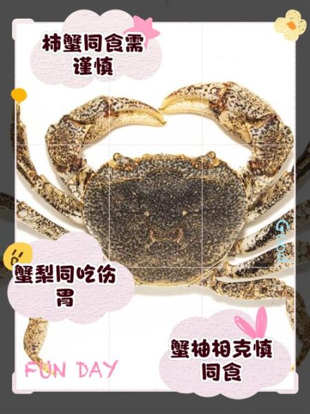 螃蟹不能和什么水果一起吃_吃螃蟹后多久能吃水果-第1张图片-山城妙识 螃蟹不能和什么水果一起吃_吃螃蟹后多久能吃水果-第1张图片-山城妙识