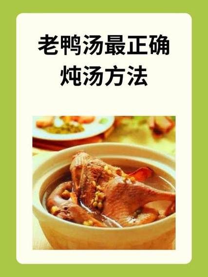 老鸭汤炖鸭子怎么炖_老鸭汤炖多久最好喝-第2张图片-山城妙识