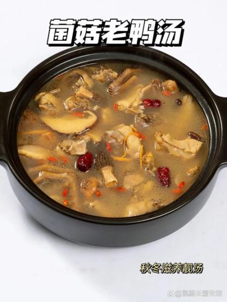 老鸭汤炖鸭子怎么炖_老鸭汤炖多久最好喝-第3张图片-山城妙识