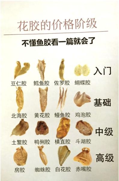 鳘鱼胶的功效与作用_鳘鱼胶怎么吃效果最好-第2张图片-山城妙识