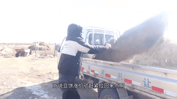 豆饼表情动态生成器怎么用_豆饼表情动态生成器在哪下载-第1张图片-山城妙识 豆饼表情动态生成器怎么用_豆饼表情动态生成器在哪下载-第1张图片-山城妙识