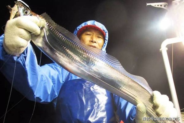 钓带鱼用什么饵料_钓带鱼最佳时间-第1张图片-山城妙识 钓带鱼用什么饵料_钓带鱼最佳时间-第1张图片-山城妙识