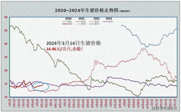 今日生猪价格多少钱一斤_2024年猪价走势预测-第1张图片-山城妙识