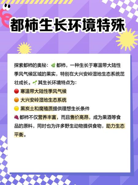 都柿和蓝莓的区别_都柿是不是蓝莓-第1张图片-山城妙识