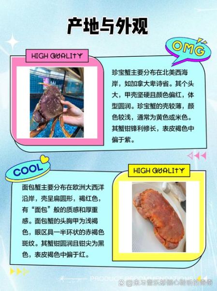 珍宝蟹和面包蟹的区别_哪个更好吃-第1张图片-山城妙识