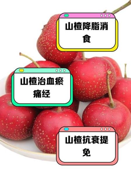 降甘油三酯最快的食物_哪些食物降甘油三酯效果好-第1张图片-山城妙识