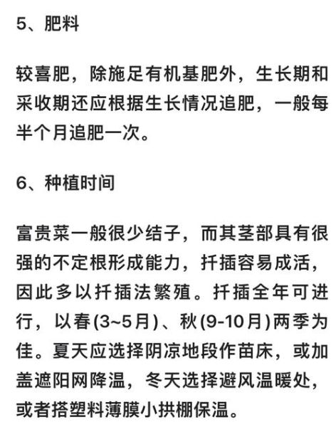 降糖草是什么_降糖草怎么用效果最好-第3张图片-山城妙识 降糖草是什么_降糖草怎么用效果最好-第3张图片-山城妙识
