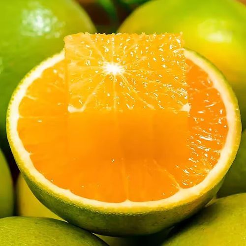 麻阳冰糖橙哪里正宗_麻阳冰糖橙为什么甜-第3张图片-山城妙识