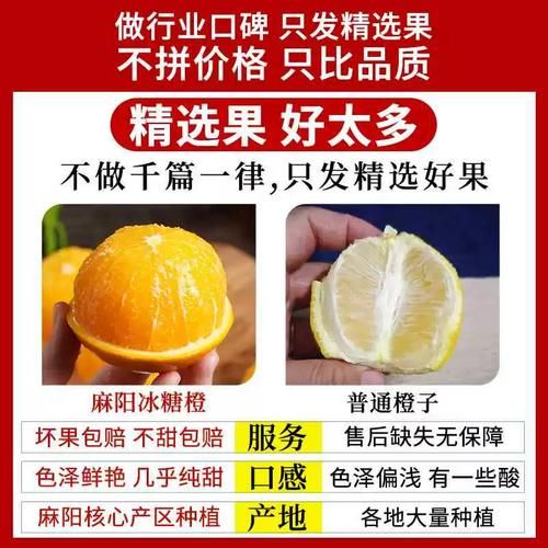麻阳冰糖橙哪里正宗_麻阳冰糖橙为什么甜-第1张图片-山城妙识