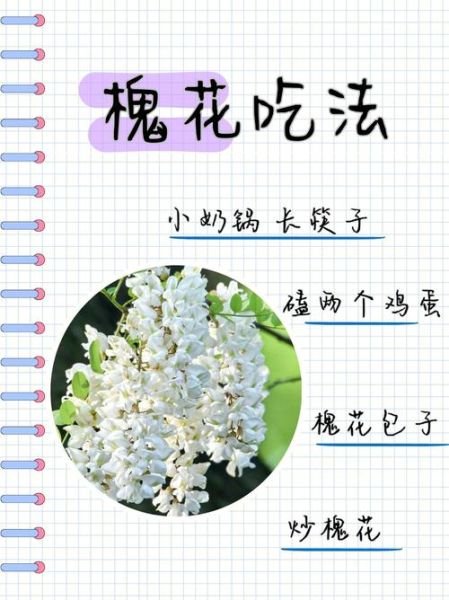 新鲜槐花怎么做好吃_槐花家常做法大全-第2张图片-山城妙识 新鲜槐花怎么做好吃_槐花家常做法大全-第2张图片-山城妙识