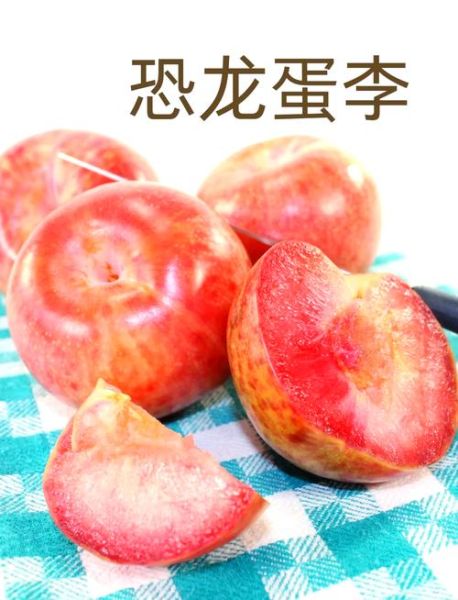 西梅李子图片_西梅和李子有什么区别-第2张图片-山城妙识 西梅李子图片_西梅和李子有什么区别-第2张图片-山城妙识