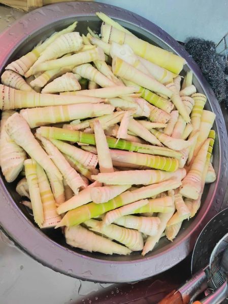 春笋图片高清图_如何挑选新鲜春笋-第3张图片-山城妙识 春笋图片高清图_如何挑选新鲜春笋-第3张图片-山城妙识