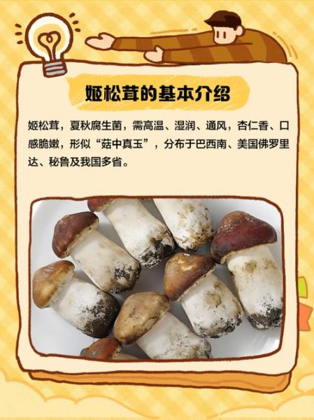姬松茸对儿童的危害_儿童能吃姬松茸吗-第2张图片-山城妙识 姬松茸对儿童的危害_儿童能吃姬松茸吗-第2张图片-山城妙识