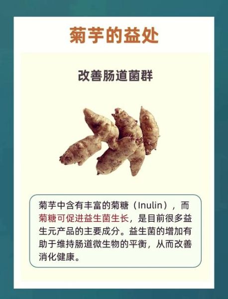 菊芋的功效与作用_菊芋能降血糖吗-第1张图片-山城妙识 菊芋的功效与作用_菊芋能降血糖吗-第1张图片-山城妙识