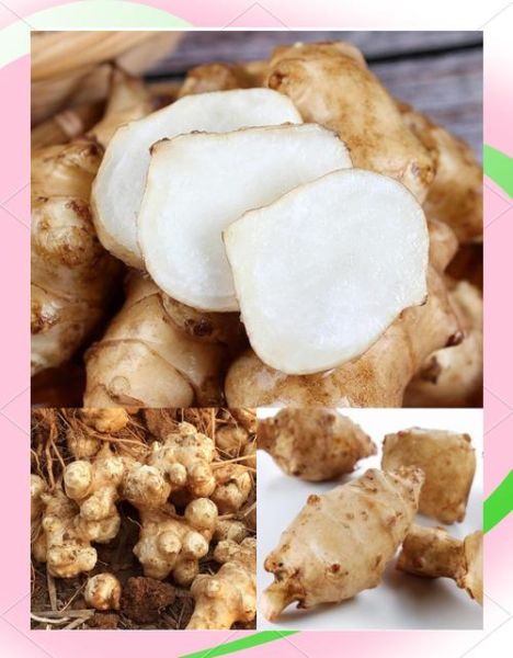 菊芋的功效与作用_菊芋能降血糖吗-第3张图片-山城妙识 菊芋的功效与作用_菊芋能降血糖吗-第3张图片-山城妙识