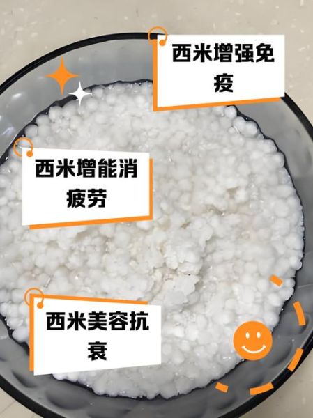 西米是种出来的吗_西米原料来源-第1张图片-山城妙识