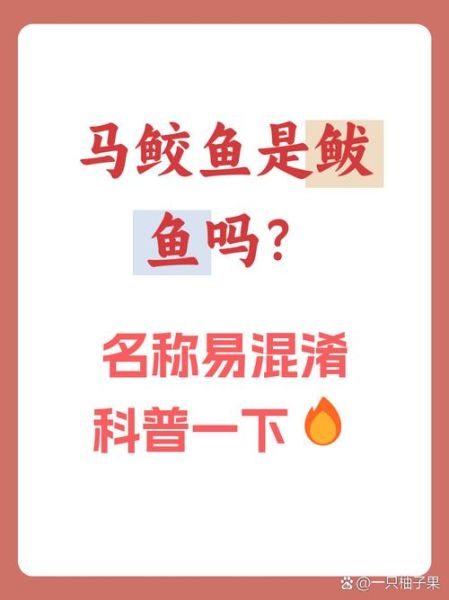 马鲛鱼是鲅鱼吗_马鲛鱼和鲅鱼的区别-第1张图片-山城妙识