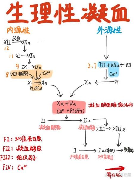 柠檬酸钠抗凝机制_血液不凝固原理-第1张图片-山城妙识