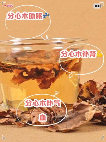 核桃汁的功效与作用_核桃汁能天天喝吗-第3张图片-山城妙识 核桃汁的功效与作用_核桃汁能天天喝吗-第3张图片-山城妙识