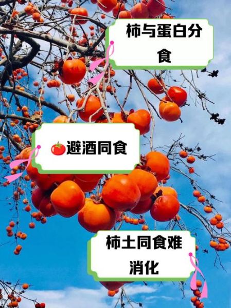 柿子不能和什么同食_哪些食物与柿子相克-第2张图片-山城妙识 柿子不能和什么同食_哪些食物与柿子相克-第2张图片-山城妙识
